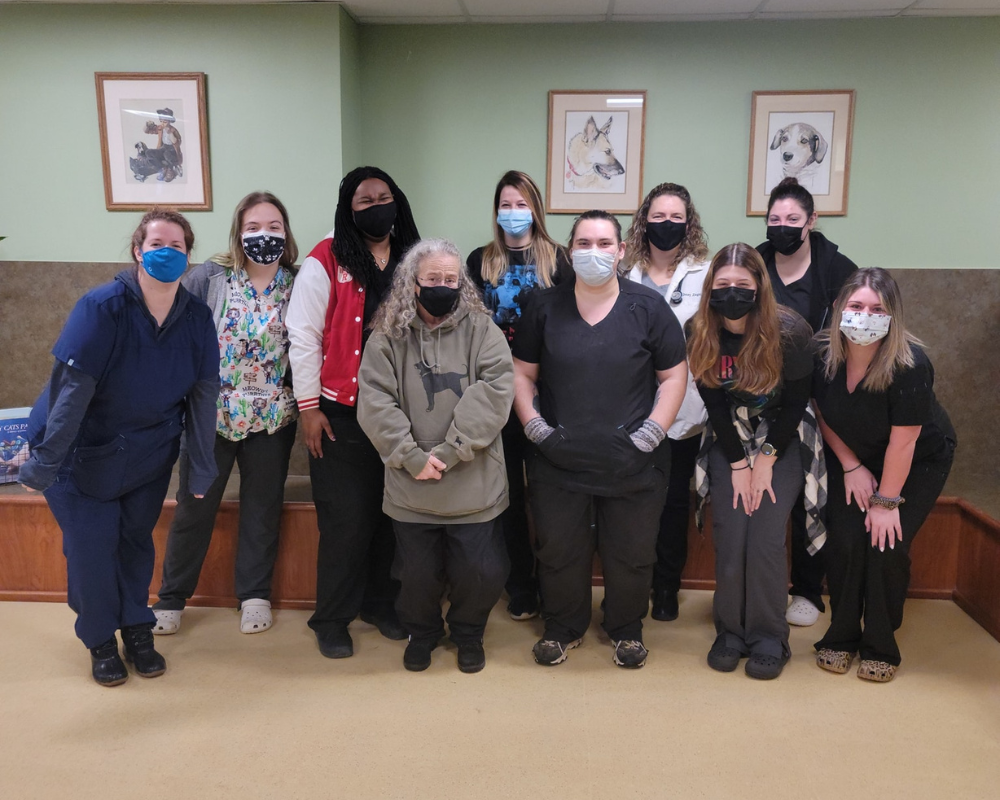 About Sharon Center Veterinary Hospital | Vet In Medina, OH 44256