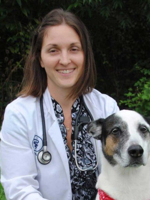 Medina, OH 44256 Veterinarians | Sharon Center Veterinary Hospital