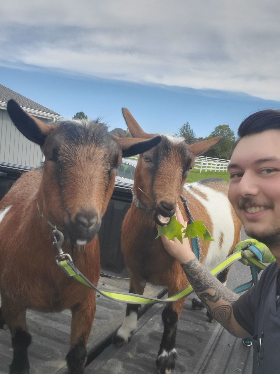 Medina, OH 44256 Veterinarians | Sharon Center Veterinary Hospital