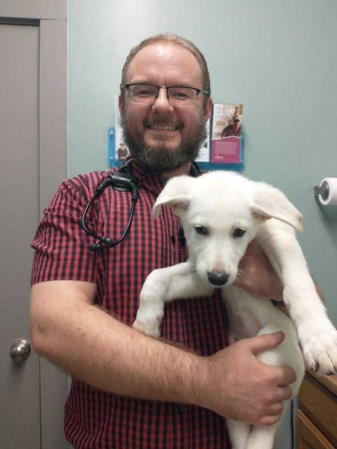 Medina, OH 44256 Veterinarians | Sharon Center Veterinary Hospital